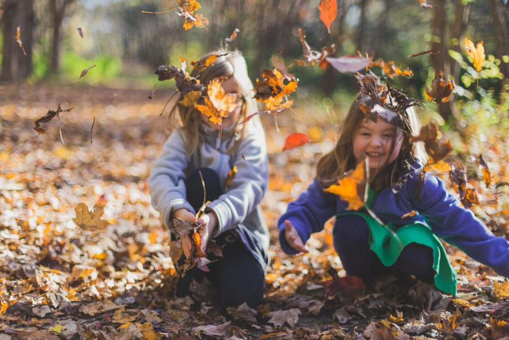 5 Autumn-Inspired Holistic Learning Activities for Children ...